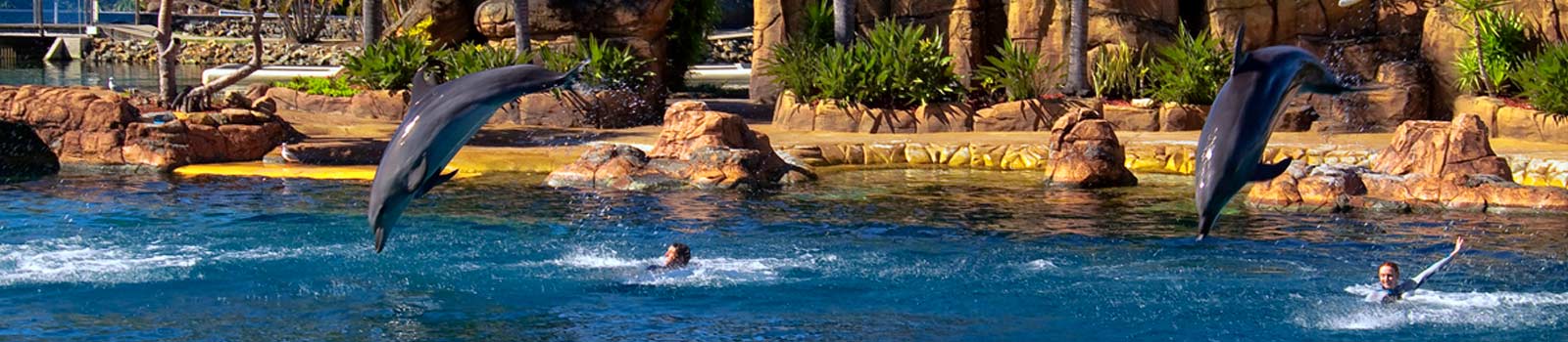 Mi Gold Coast Your Local Gold Coast Directory And Tourism Information